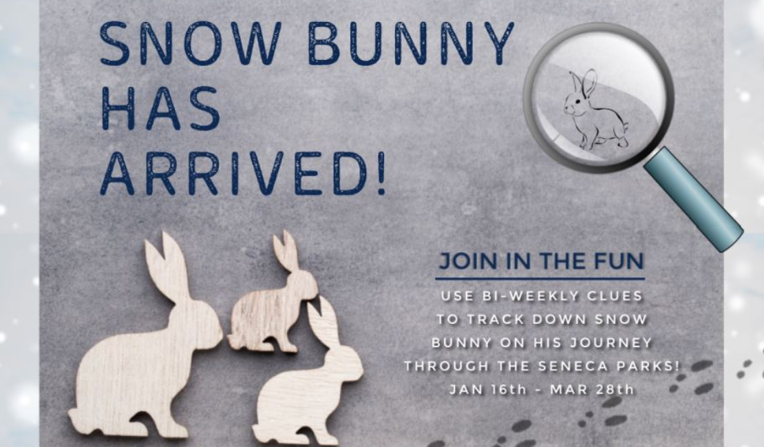 Snow Bunny Has Arrived! - Destination Seneca County