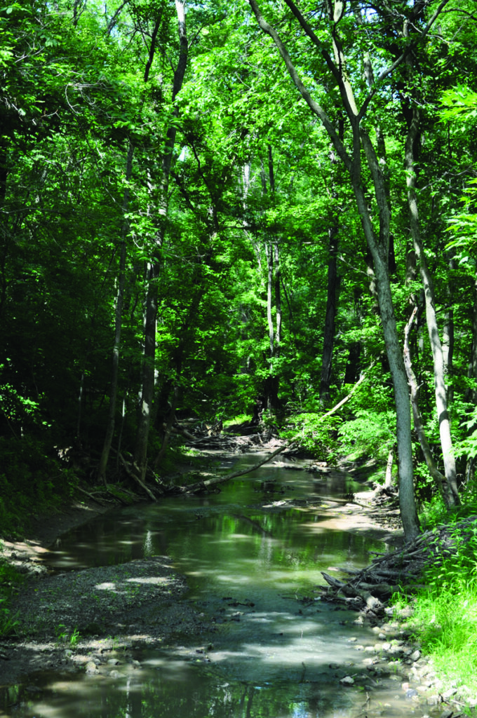 Tiffin University Nature Preserve - Destination Seneca County
