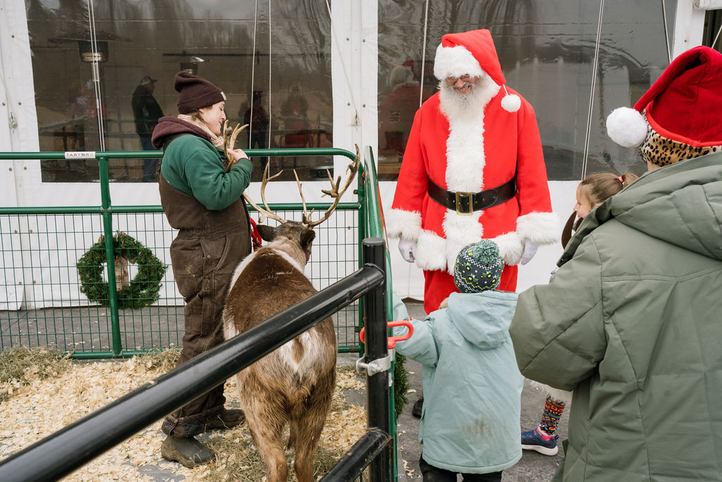 Reindeer Farm Christmas Experience - Destination Seneca County