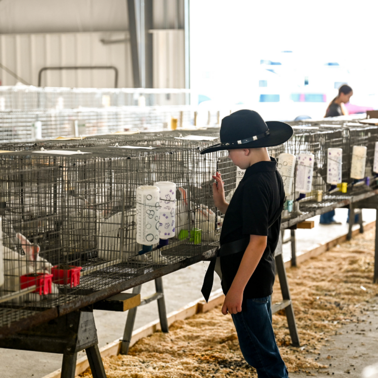 Small Town Fair, Big Time Fun | The 2025 Attica Independent Fair ...